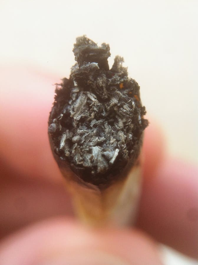 Macro shot of the ember stock image. Image of rolled - 42442287