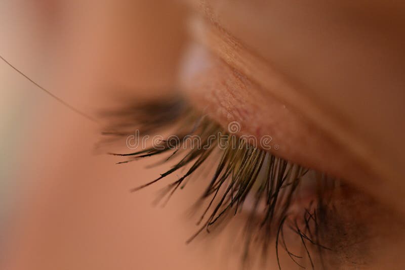 Macro Shot of Eye Lashes of Woman Stock Image - Image of elegance ...