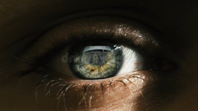 Macro Shot of Eyes with Money Counting Reflection. Business and Finance ...