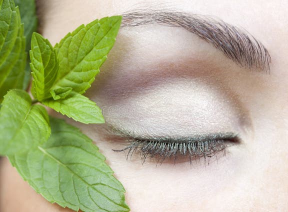Macro Shot of a Female Eye and Fresh Mint Stock Image - Image of ...