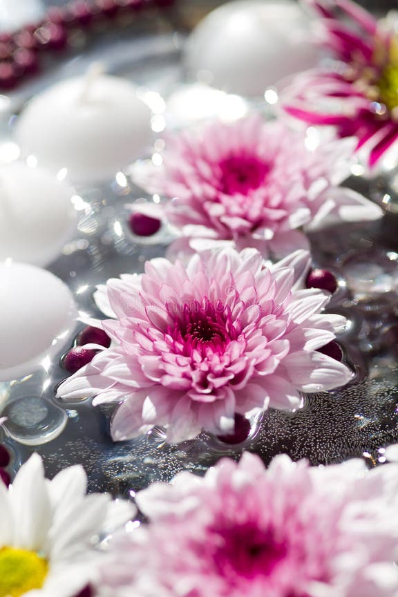 Macro Shot of Flower Table Decorations Stock Photo - Image of flower ...