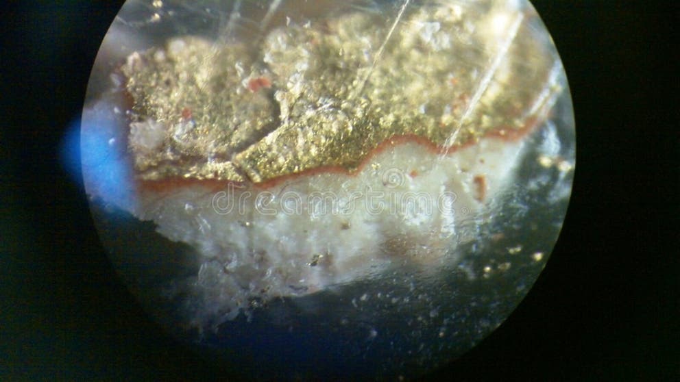 Gold Under Microscope Stock Photos - Free & Royalty-Free Stock Photos ...