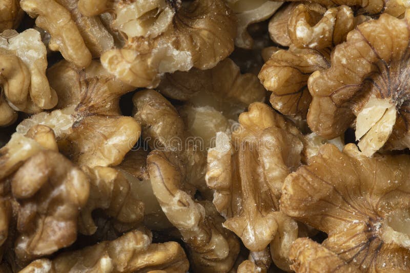 Macro Shot of Greek Nuts Under the Light Stock Image - Image of white ...