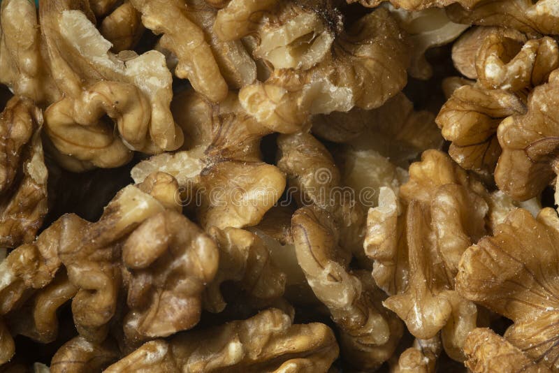 Macro Shot of Greek Nuts Under the Light Stock Photo - Image of ...