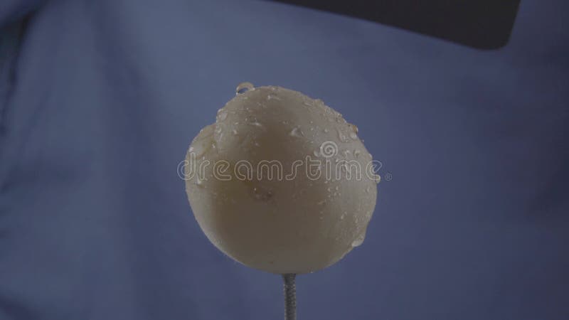 Apricot Rotating with Loop on Blue Screen for Chroma Key Stock Video ...