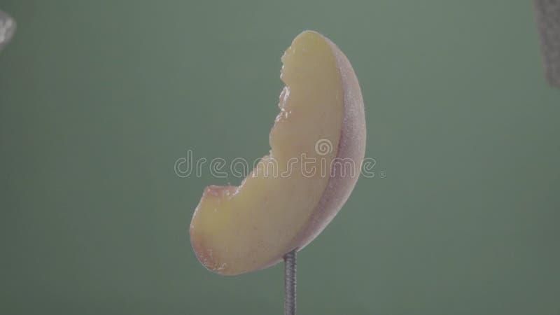 Peach Rotating with Loop on Blue Screen for Chroma Key Stock Video ...