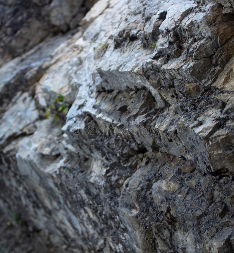 Macro Shot of Grey Black Rocks with Rough Textured Surface. Life ...