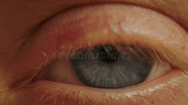 Macro Shot of Human Blue Eye with Visible Iris Texture Stock Footage ...