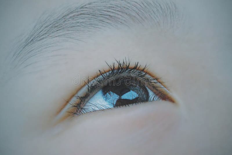 Macro Shot of Human Eye stock photo. Image of model - 109912398