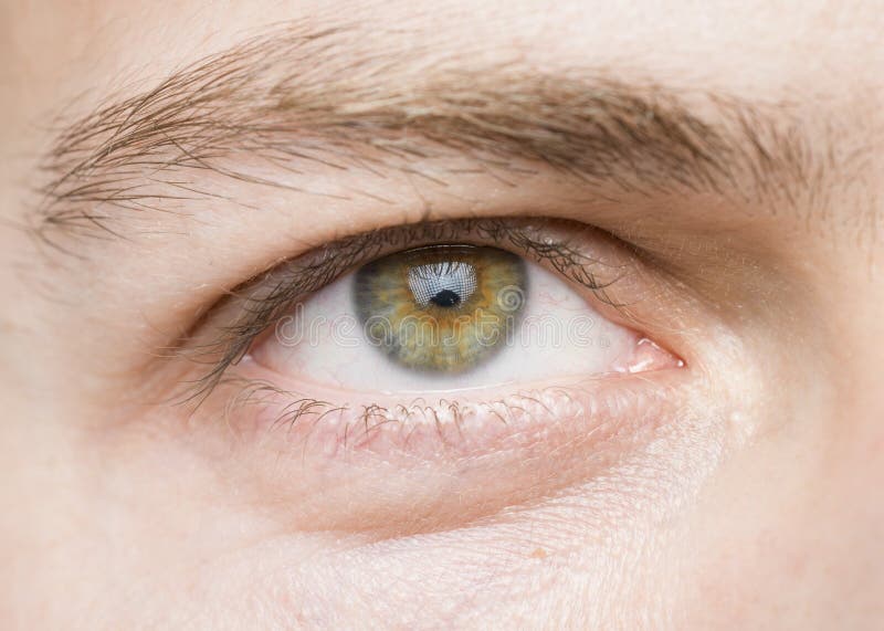 Gorgeous Closeup Shot of Human Eyes Stock Photo - Image of optic ...