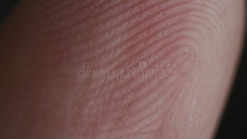 Macro Shot of Human Fingerprints. the Structure of the Finger Surface ...