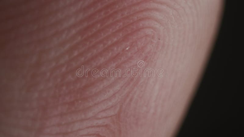 Macro Shot of Human Fingerprints. the Structure of the Finger Surface ...
