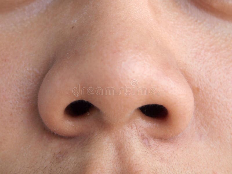 Human Nose Close Up Human Nose Close Up