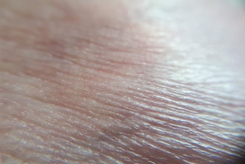 Shot of human skin leg stock photo. Image of people - 144774380