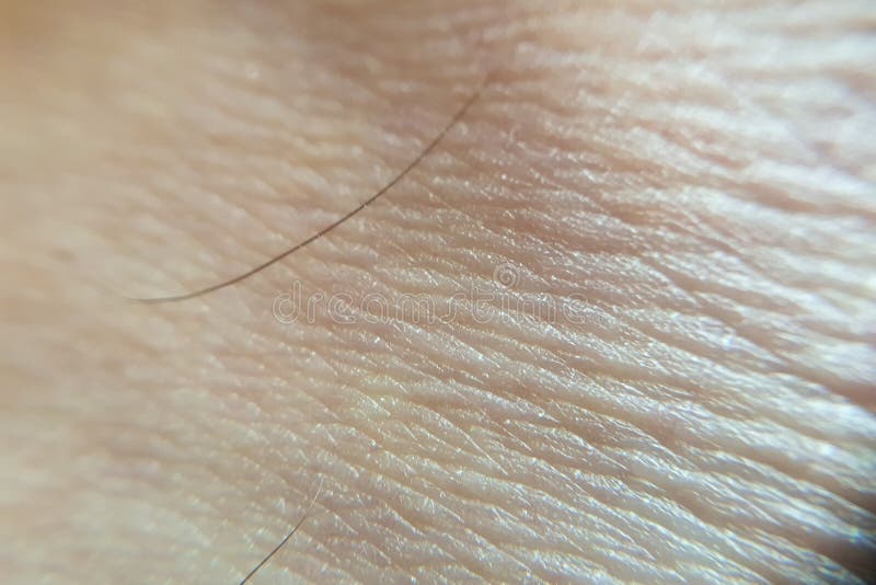 Shot of human skin leg stock image. Image of skin, closeup - 144774467