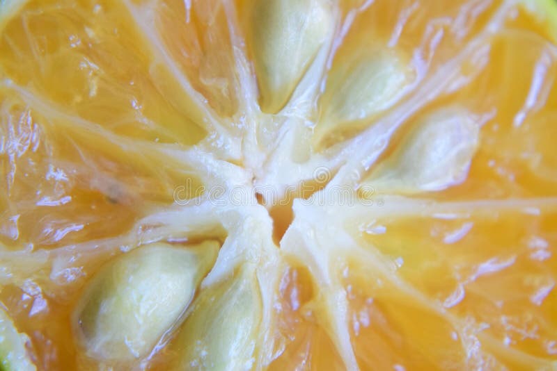 Dalandan Orange Stock Photos - Free & Royalty-Free Stock Photos from ...