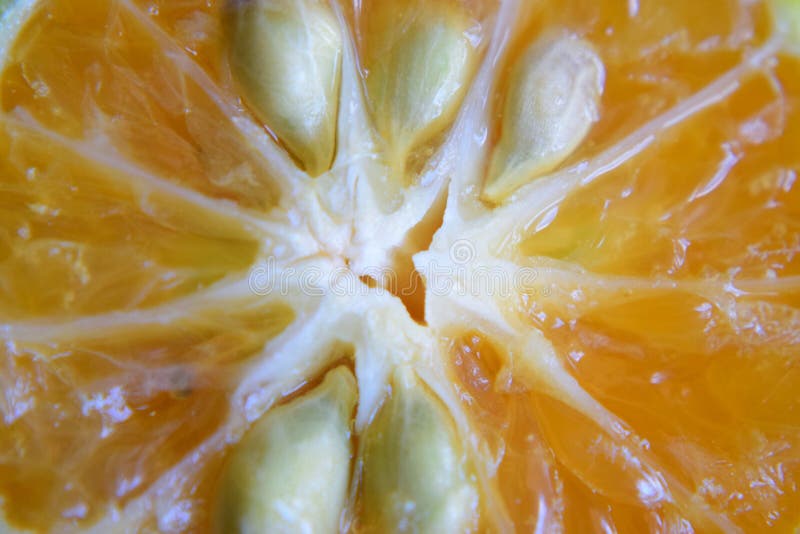 Dalandan Orange Stock Photos - Free & Royalty-Free Stock Photos from ...