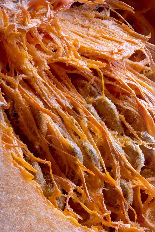 Macro Shot of the Interior of a Pumpkin Stock Image - Image of seed ...
