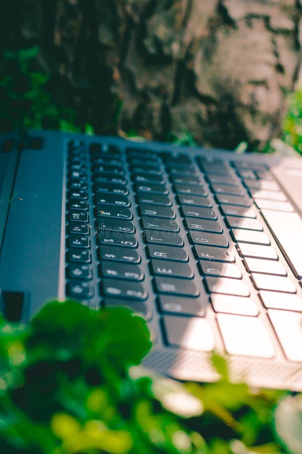 Macro Shot of a Laptop Computer Keyboard Infront of a Log Stock Photo ...
