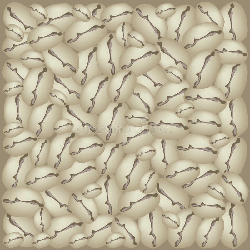 Macro Shot of Light Brown Roasted Coffee Beans Bac Stock Vector ...