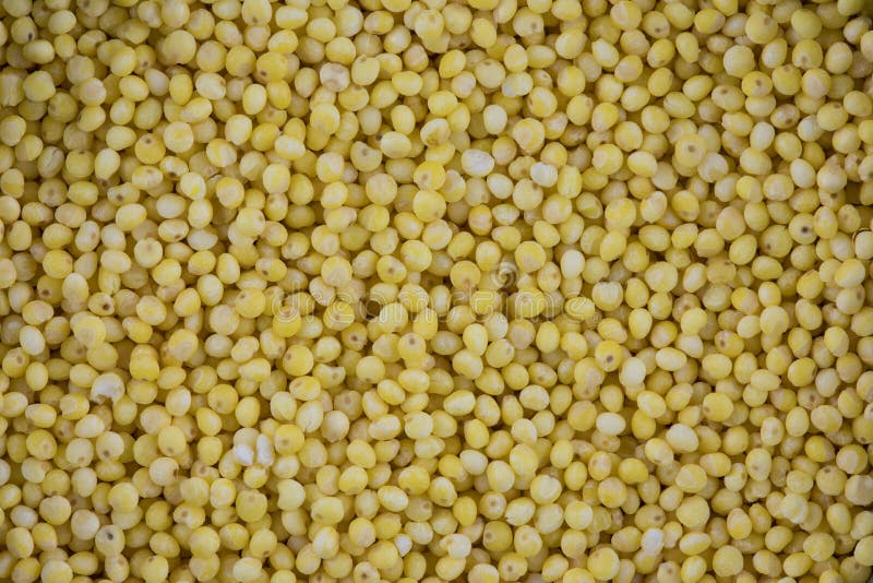 The Millet Seeds` Texture or Background Stock Photo - Image of dish ...