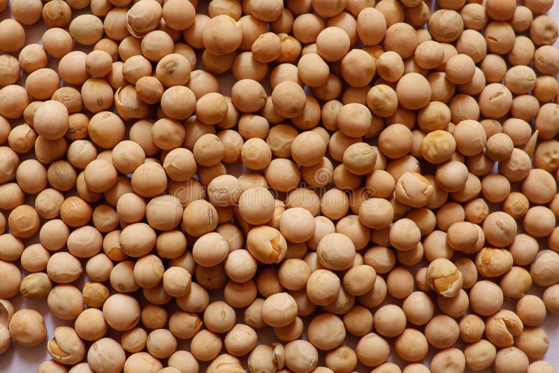 Mutter Seed Stock Photos - Free & Royalty-Free Stock Photos from Dreamstime