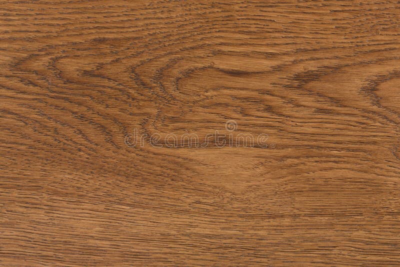 Macro Shot of Oak Wood Texture. Stock Illustration - Illustration of ...