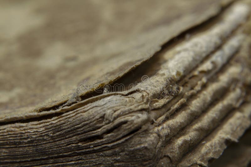 Macro Shot Old Vintage Book Papers Edge Shape and Texture Stock Photo ...