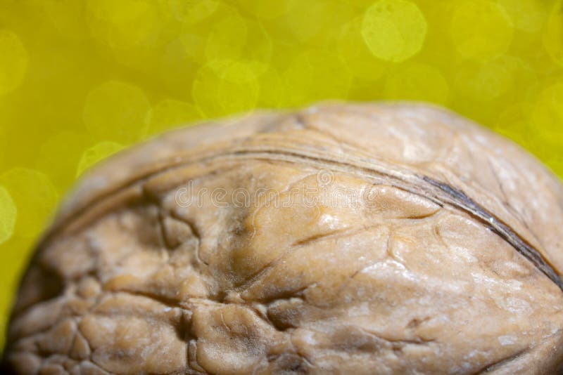 Macro Shot of Oval Part of Nut Shell Stock Photo - Image of cuisine ...