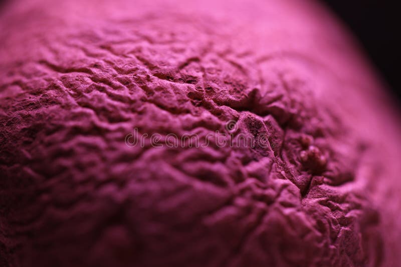 Macro Shot of a Potato Skin Stock Photo - Image of shot, pores: 352134556