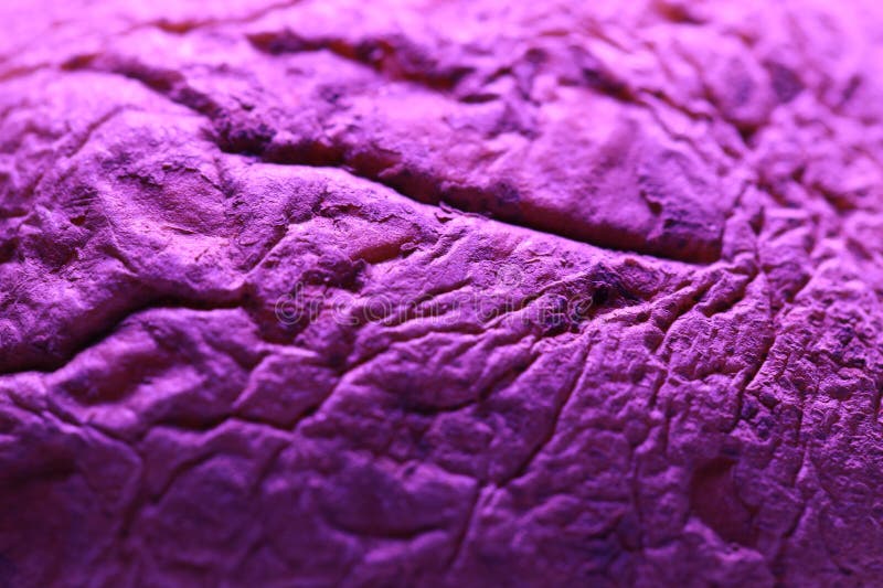 Macro Shot of a Potato Skin Stock Image - Image of shot, zoomed: 352134559