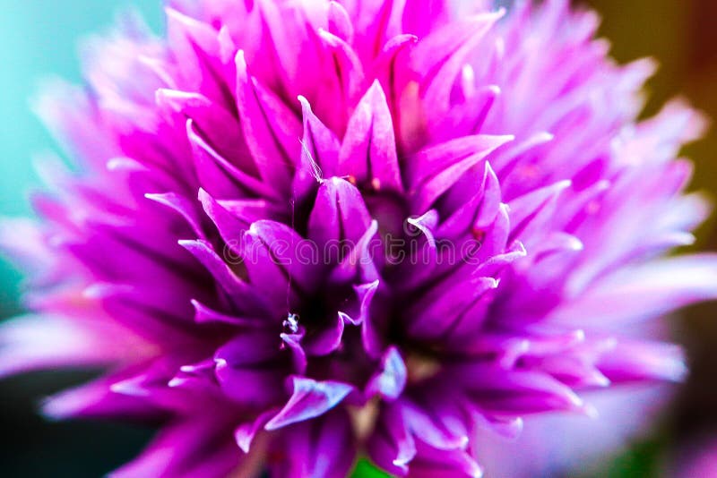 Vain Stock Images - Download 3,942 Royalty Free Photos