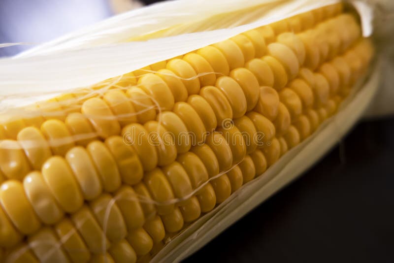 Macro Shot of Raw Maize Corns & Leaves Stock Image - Image of maize ...