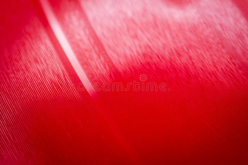 Macro Shot of Red Color Vinyl Record Stock Image - Image of macro, song ...