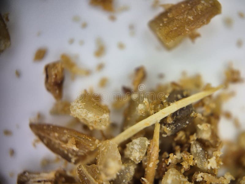 Macro of Spice Soup Seasoning Stock Photo - Image of particles ...