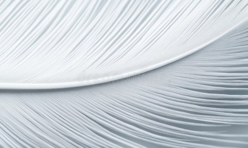 A Macro Shot Reveals the Intricate Details and Soft Texture of a ...