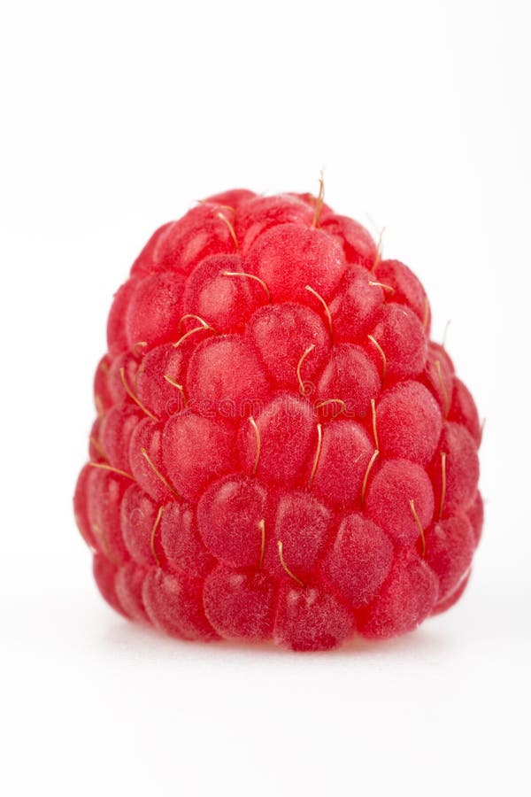 Raspberry stock photo. Image of ripe, freshness, juicy - 40731610