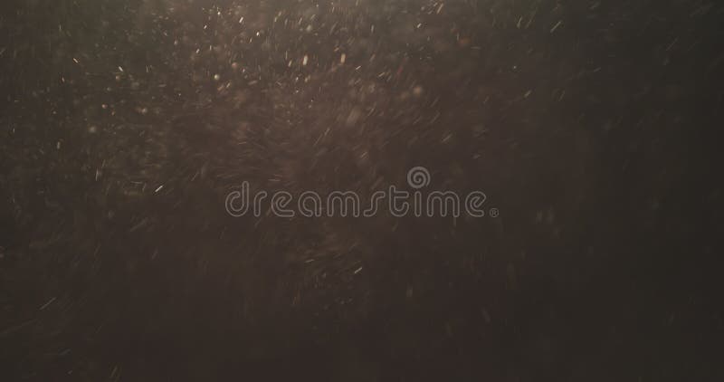 Macro Shot of Sand Dust Explosive Flow for Overlay Stock Image - Image ...