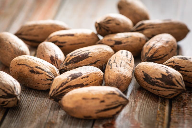 Pecan Nuts in Shell on Wood Table Stock Photo - Image of illinoinensis ...