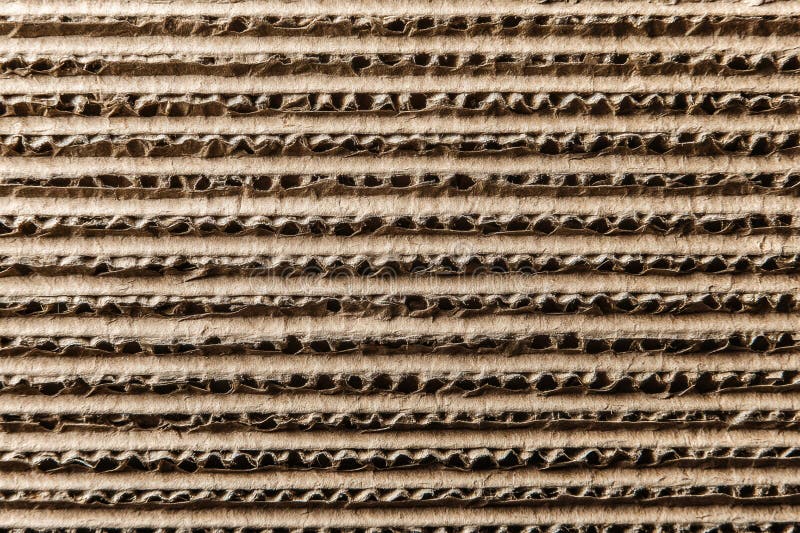 Close-up View of Corrugated Cardboard Texture on a Neutral Background ...