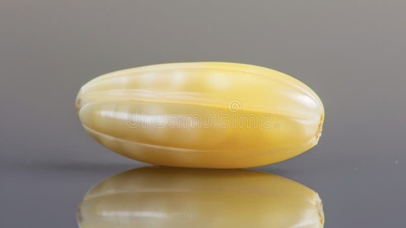 A Macro Shot of a Single Corn Kernel Its Smooth Shiny Surface ...