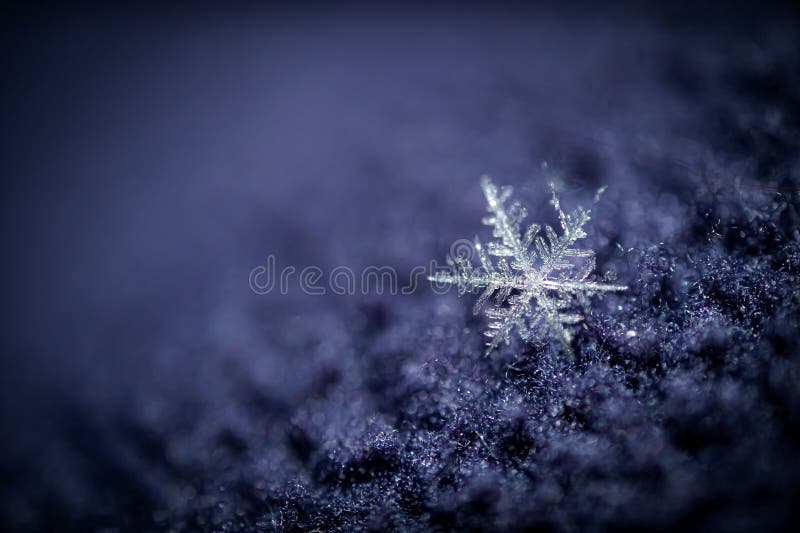 Macro Shot of a Single Snowflake on a Purple Fuzzy Cloth Surface Stock ...