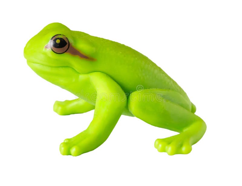 Macro Shot of a Small Green Toy Frog, Side View Shot. Isolated on White ...