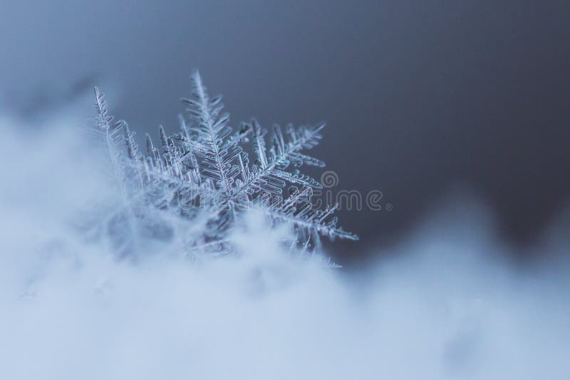 Snowflake stock photo. Image of frozen, frost, detail - 46334996