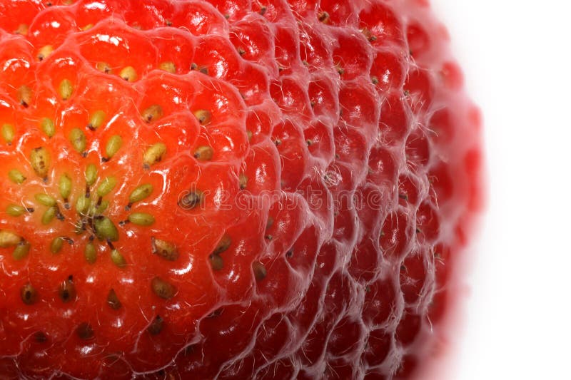 Macro Shot of Strawberry, Extreme Macro of Strawberry Texture ...
