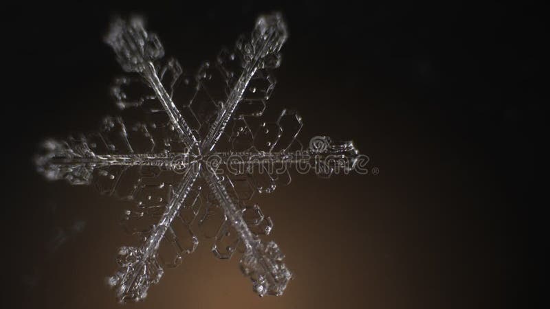 Macro Shot Under a Microscope. a Beautiful Sparkling Snowflake Melts on ...