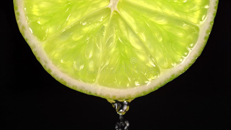 Macro Shot of a Water Drop Dripping from the Backlit Juicy, Fresh Lime ...