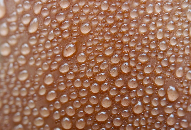 Macro Shot of Water Droplets on Brown Iced Chocolate Latte Transparent ...