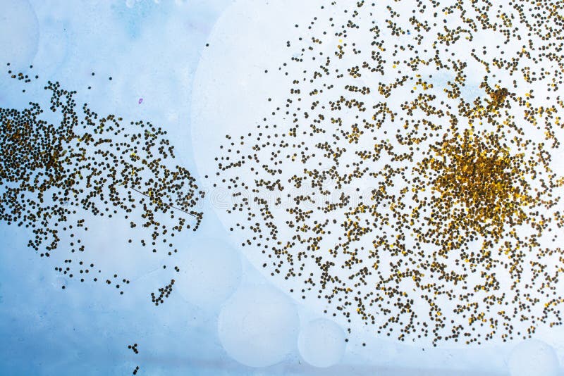 Macro Shot of Water Oil Emulsion Over Colored Background Stock Image ...