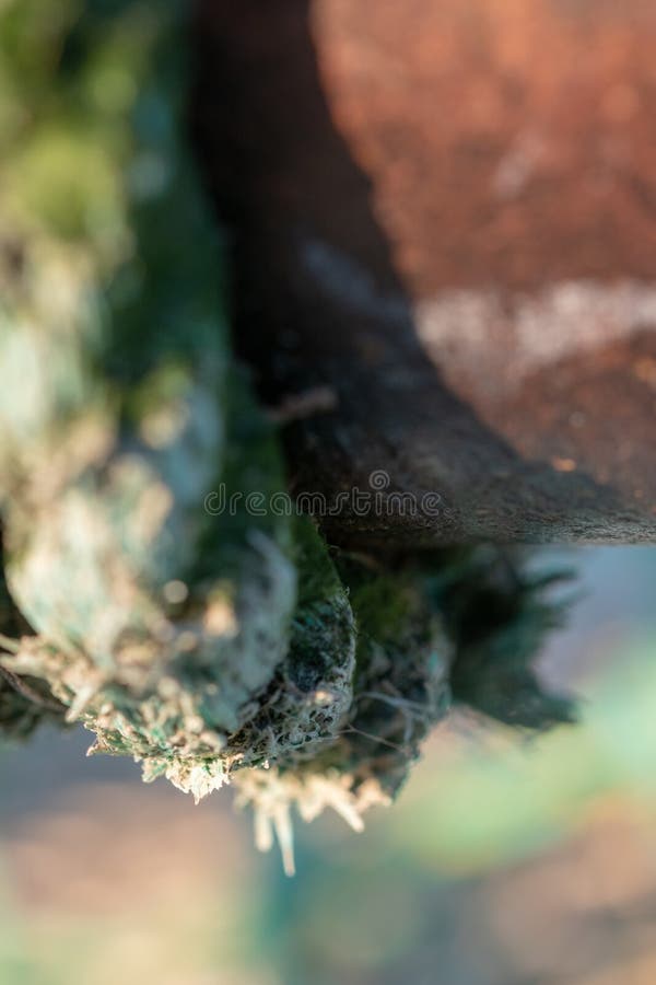 Weathered Mossy Roof with Old Clay Tiles Under Clear Sky Stock Photo ...